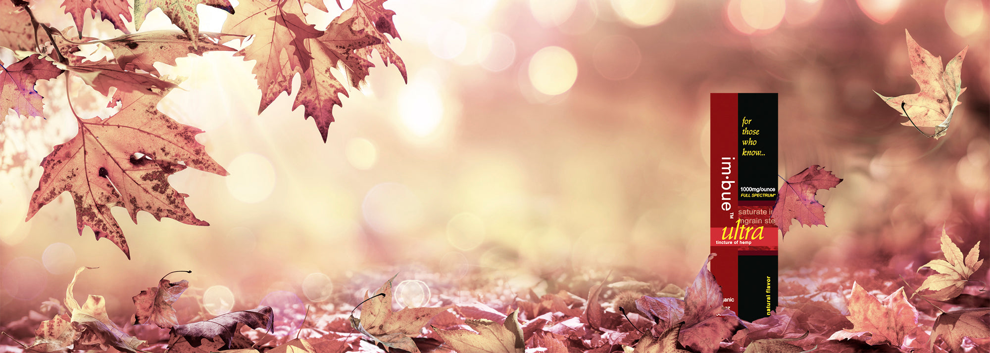 Imbue Botanicals - The Best Hemp CBD and Wellness Products